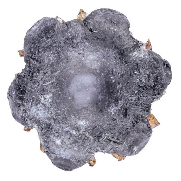 Munição Federal .45 Auto 230gr Personal Defense Punch JHP – cx 20un ...